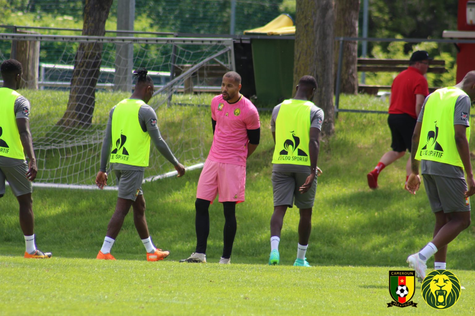 Lions Indomptables - Fédération Camerounaise de Football