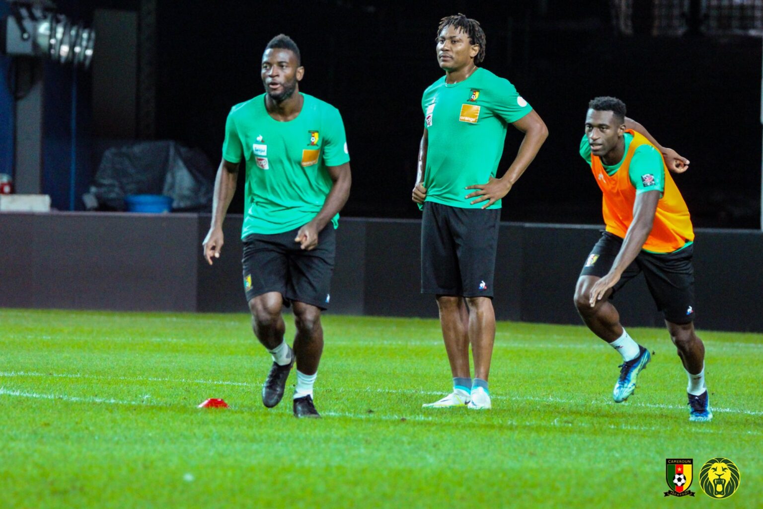 Lions Indomptables - Fédération Camerounaise de Football